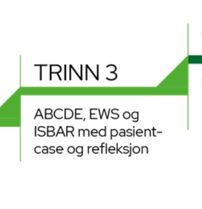Klinisk Observasjonskompetanse Hovedinstruktør TRINN 3: Kursets forside